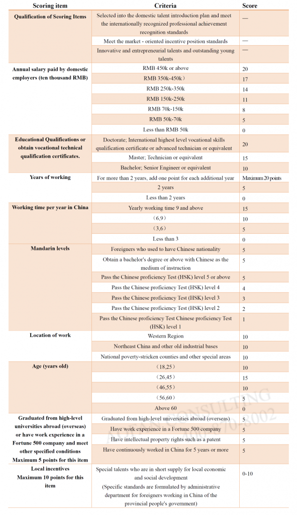 Your Complete Guide to Obtaining a China Work Visa & Work Permit: Step ...